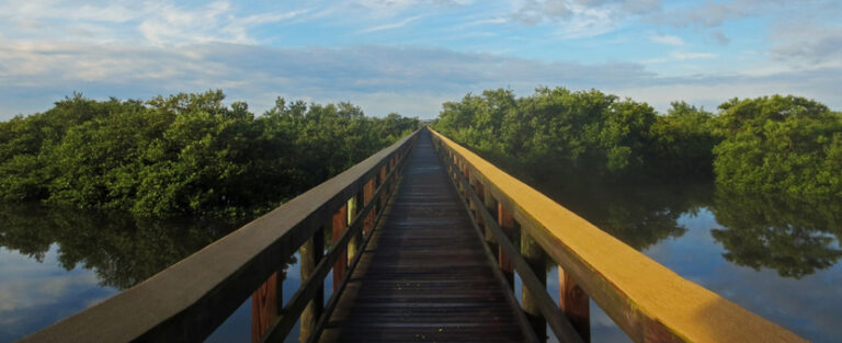 Ponce Preserve Park - Ponce Inlet Lighthouse